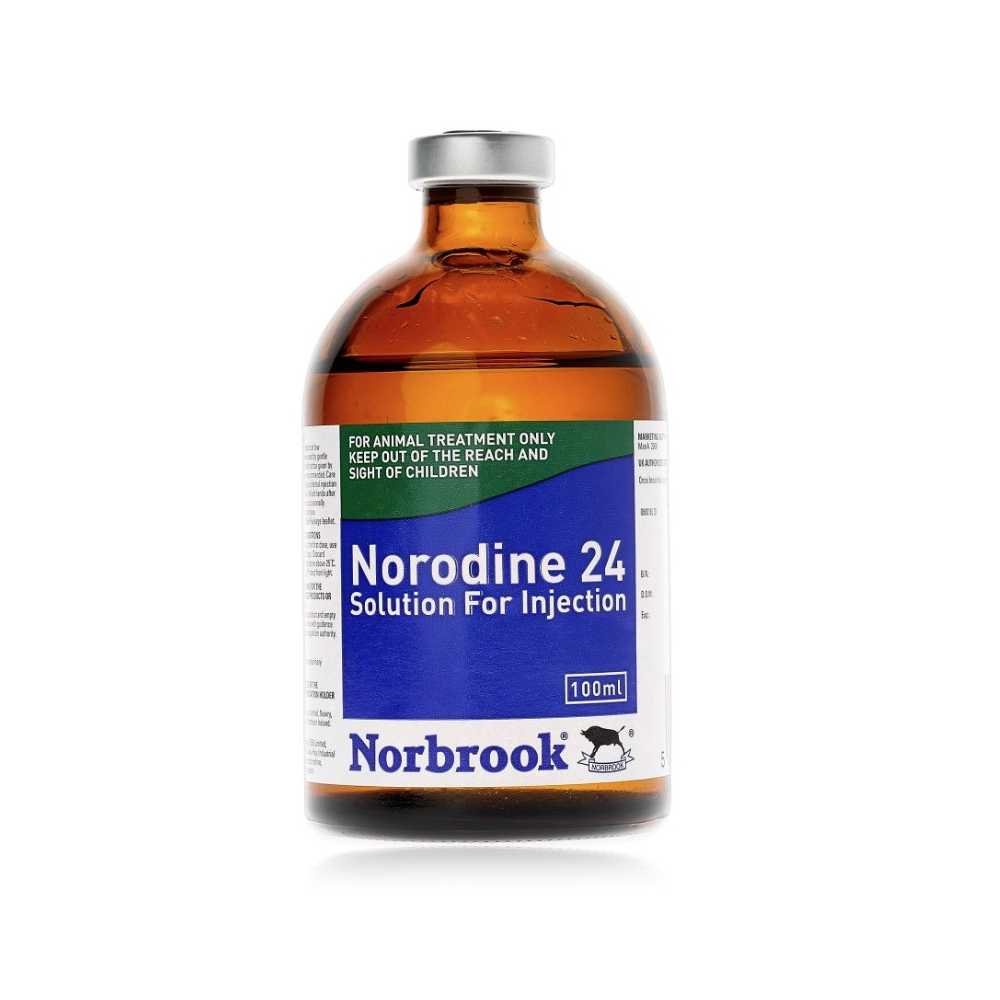 Norbrook Norodine 24 Sol. for Injection 100ml - Farmacy