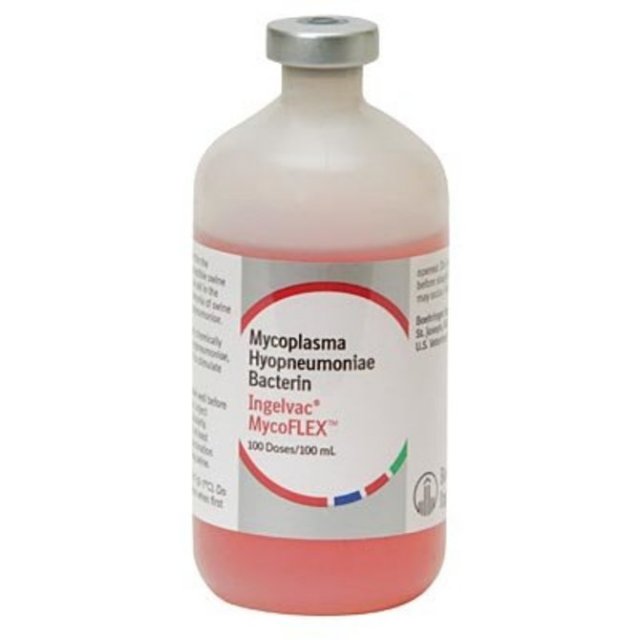 Boehringer Ingelheim Ingelvac MycoFLEX - Farmacy