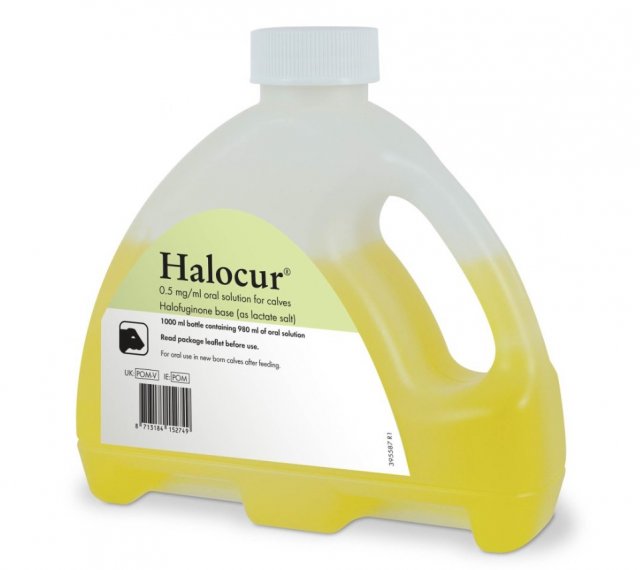 MSD Halocur 0.5mg/ml Oral Solution - Farmacy