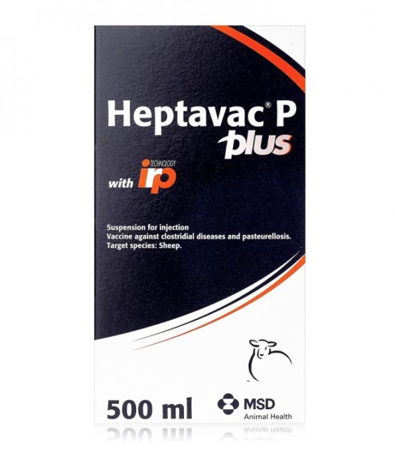 MSD Heptavac P Plus - Farmacy