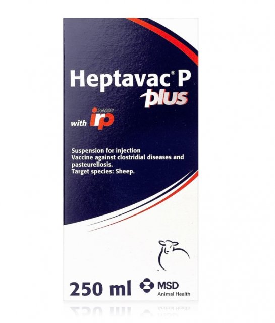 MSD Heptavac P Plus - Farmacy