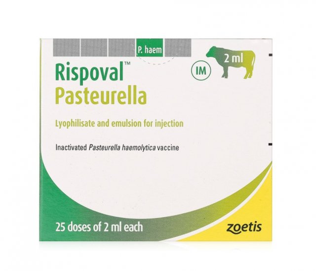 Zoetis Rispoval Pasteurella - Farmacy