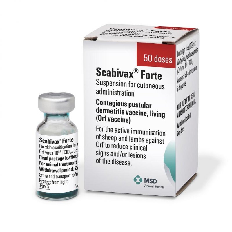 MSD Scabivax Forte 50 dose - Farmacy