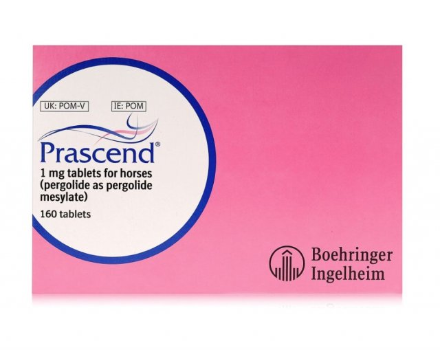 Boehringer Ingelheim Prascend Tablets 1mg Equine - Farmacy