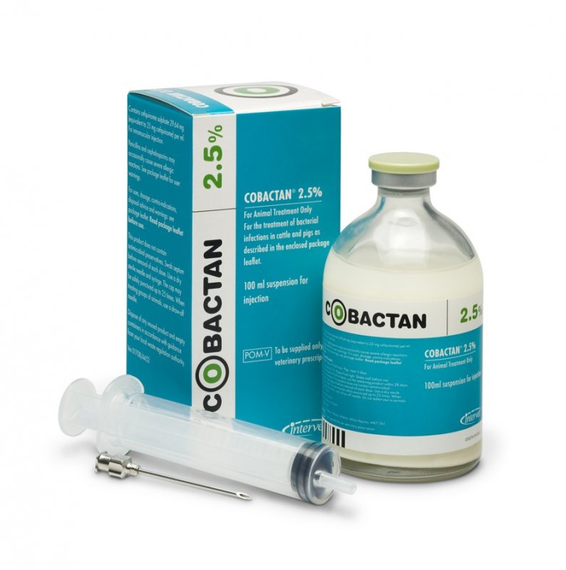 MSD Cobactan Injection 2.5% 100ml - Farmacy