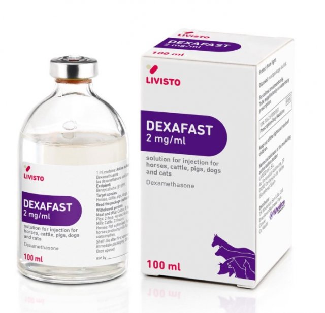 Forte Healthcare Ltd Dexafast 2 mg/ml Injection - Farmacy