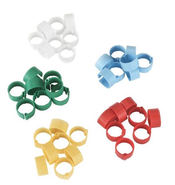 Plastic Identification Clips 100 pack - Farmacy