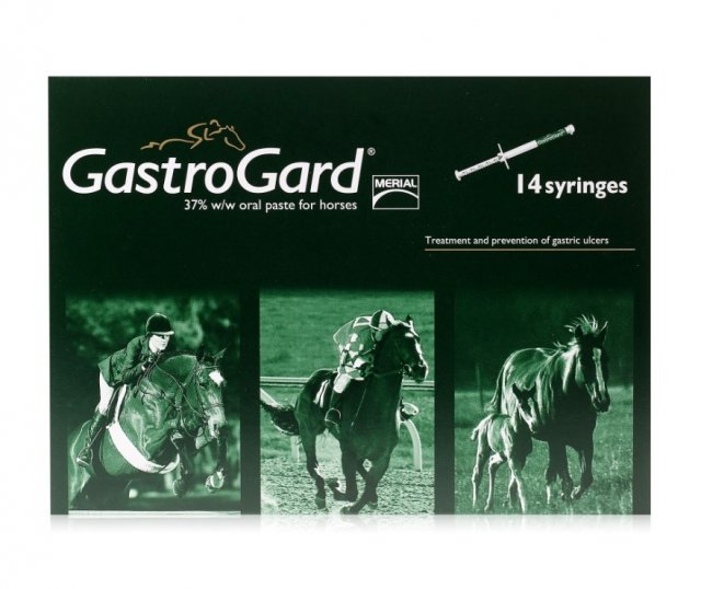 Boehringer Ingelheim GastroGard 370 mg/g Oral Paste - Farmacy