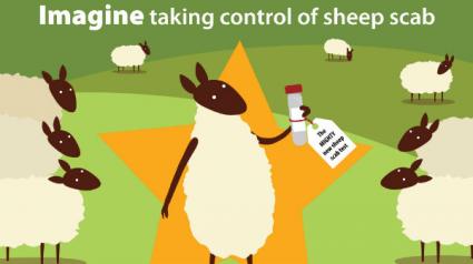 Sheep Scab ELISA Test - Farmacy.co.uk